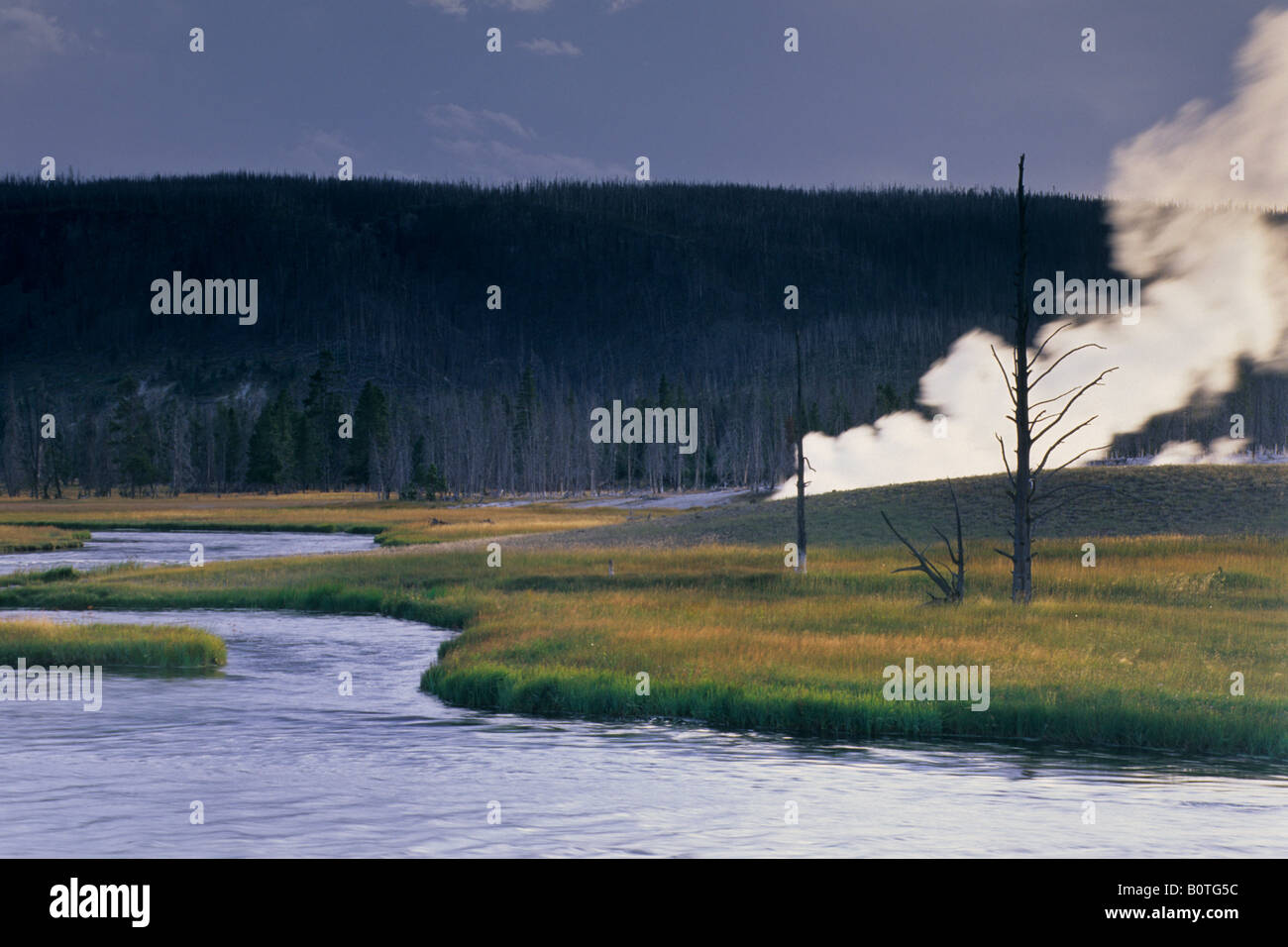 Steam from hot spring at edge of the Firehole River at sunset Biscuit ...