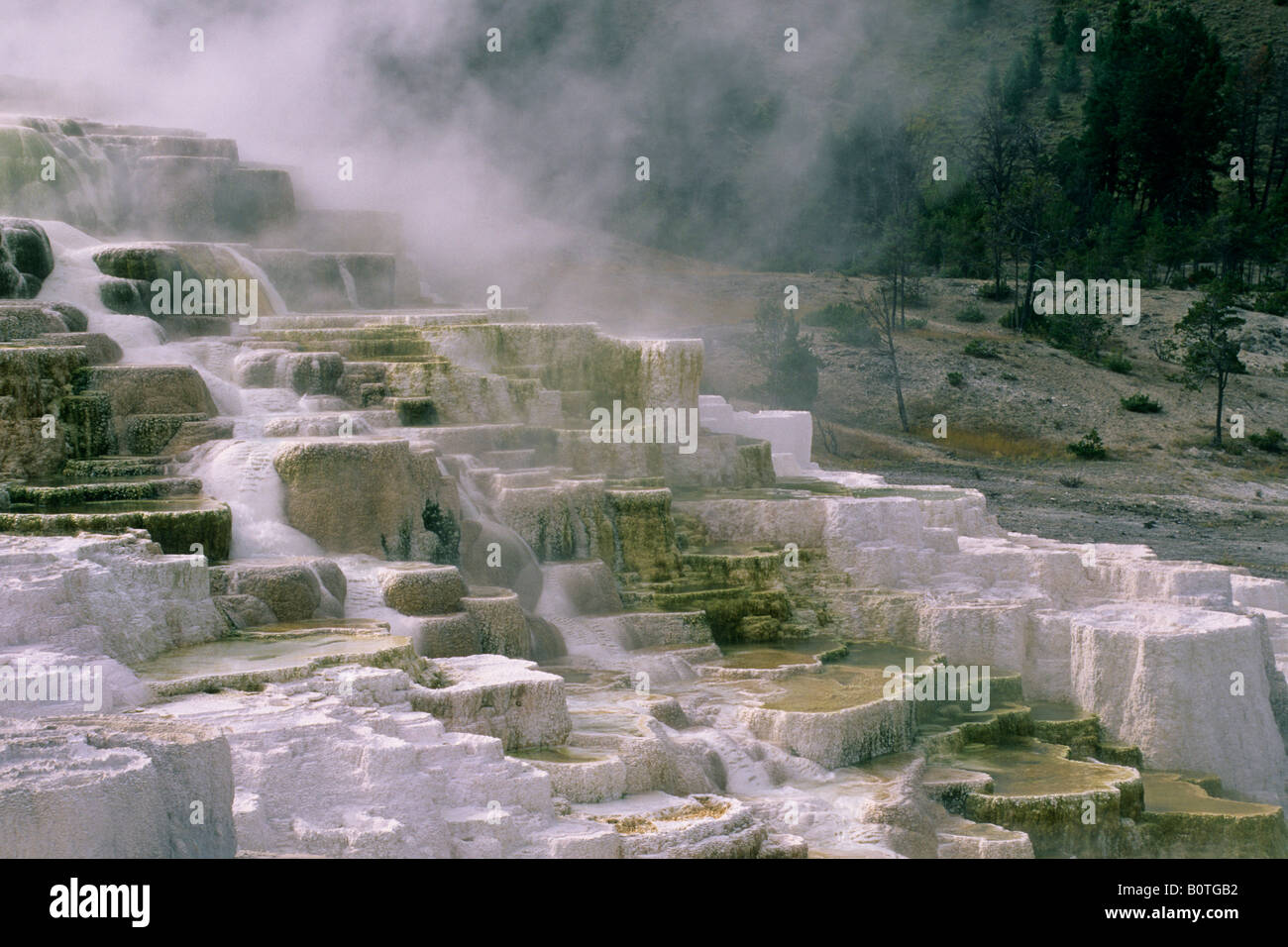 Minerva Spring detail Mammoth Hot Springs Region Yellowstone National ...