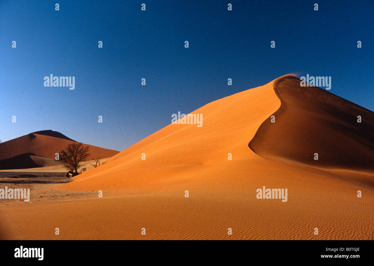 Dunes, Namibia, Africa Stock Photo - Alamy