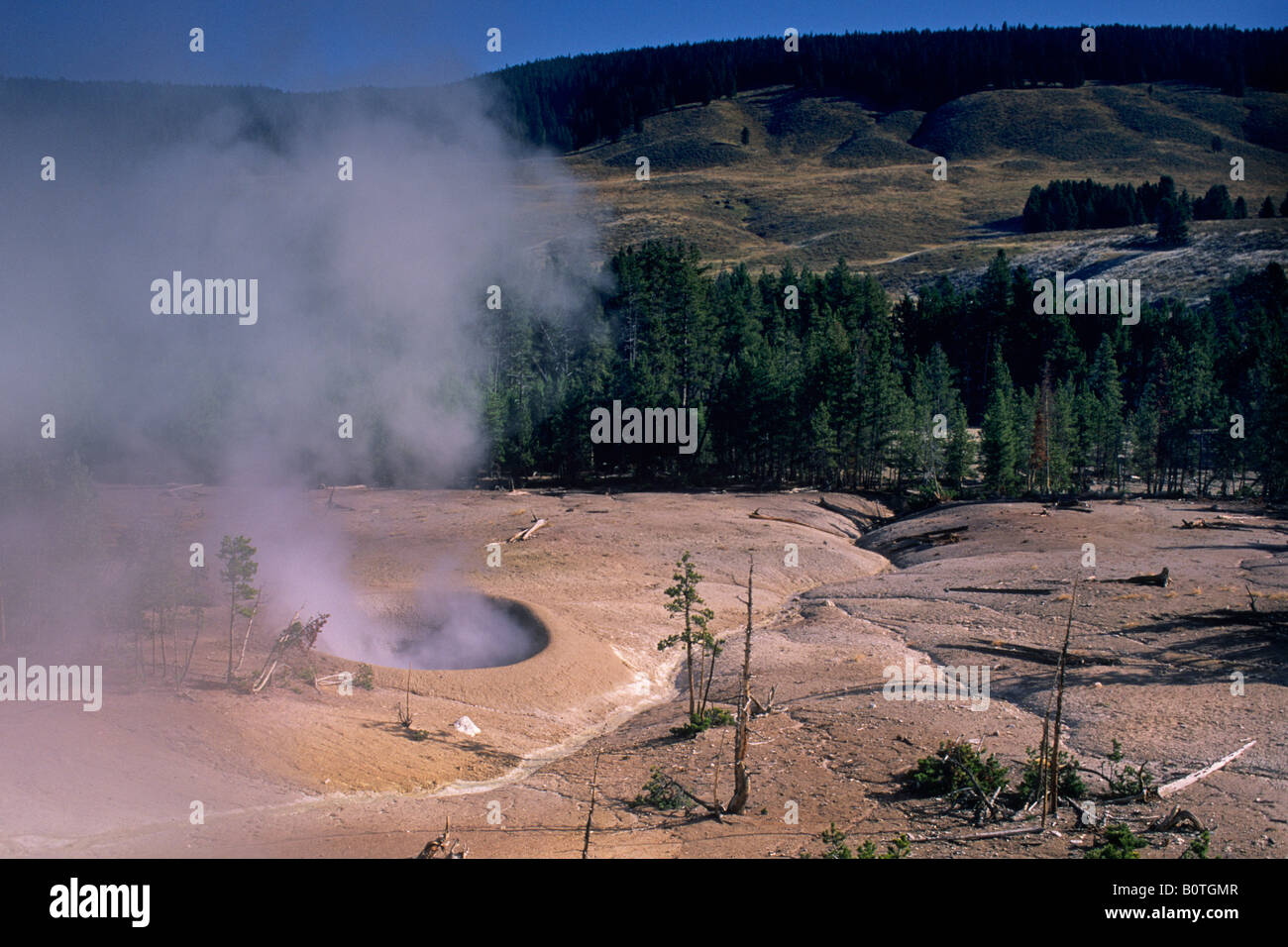Steam rising from Sulfer Caldron Mud Volcano area Yellowstone National ...