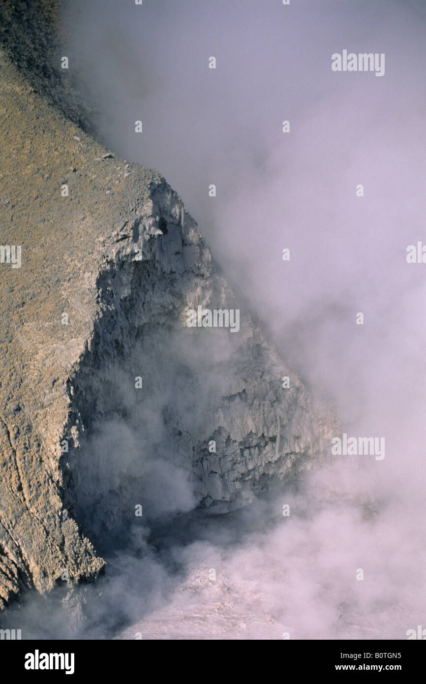 Steam rising from the geothermal vent at Mud Volcano Yellowstone ...