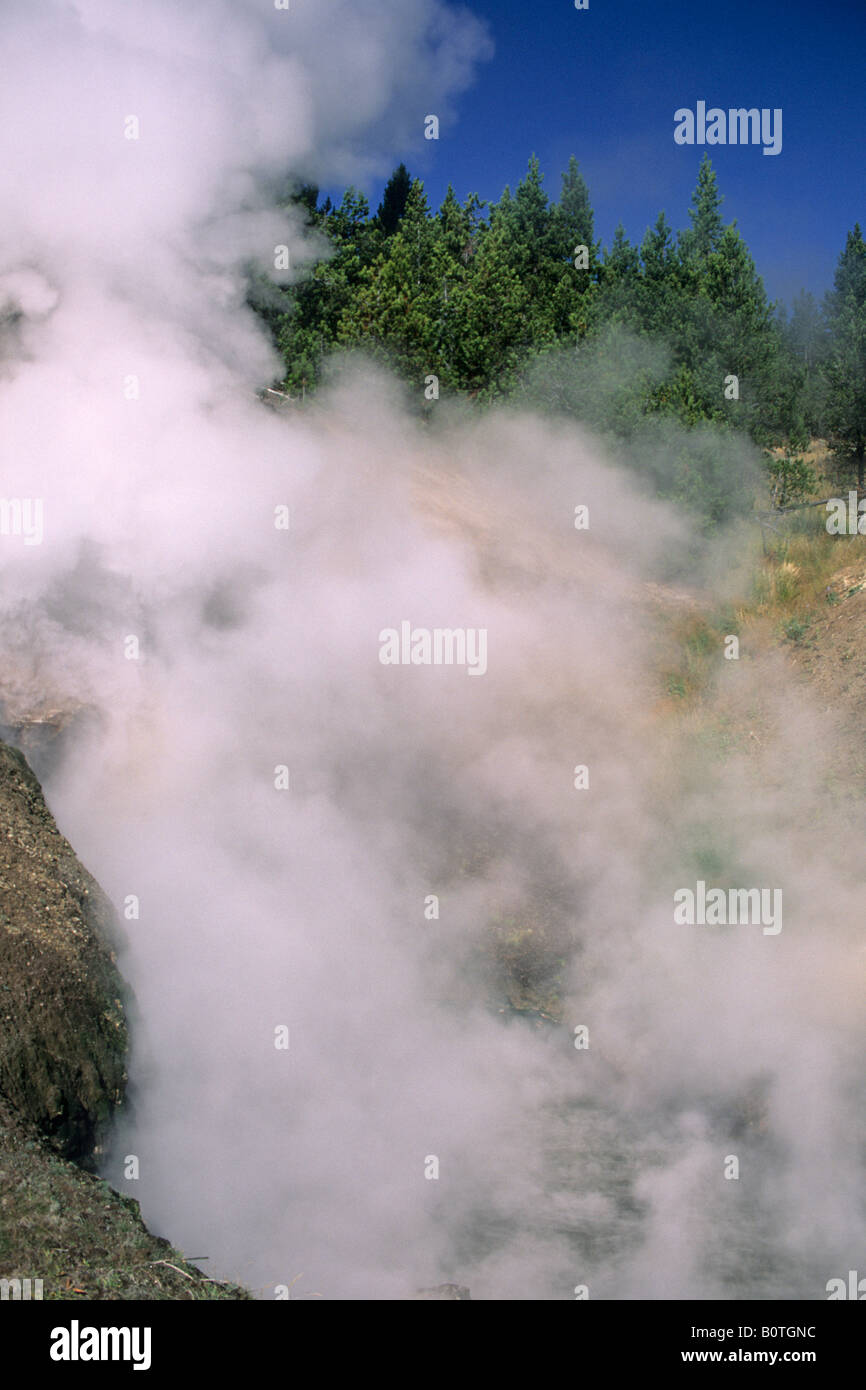 Steam rising from the geothermal vent at Mud Volcano Yellowstone ...