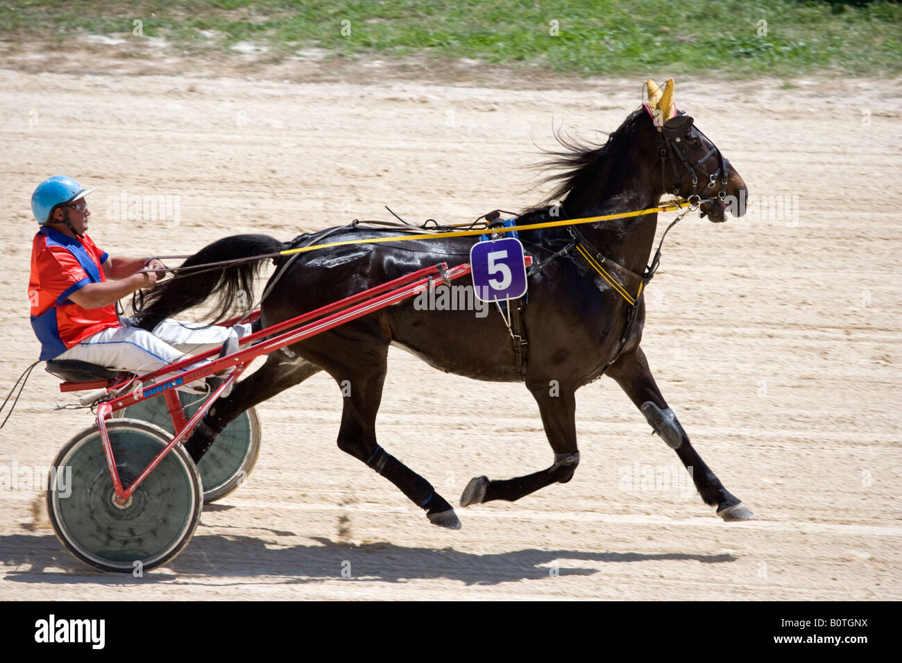 Malta Horse Racing Track Marsa Valletta Malta Stock Photo - Alamy