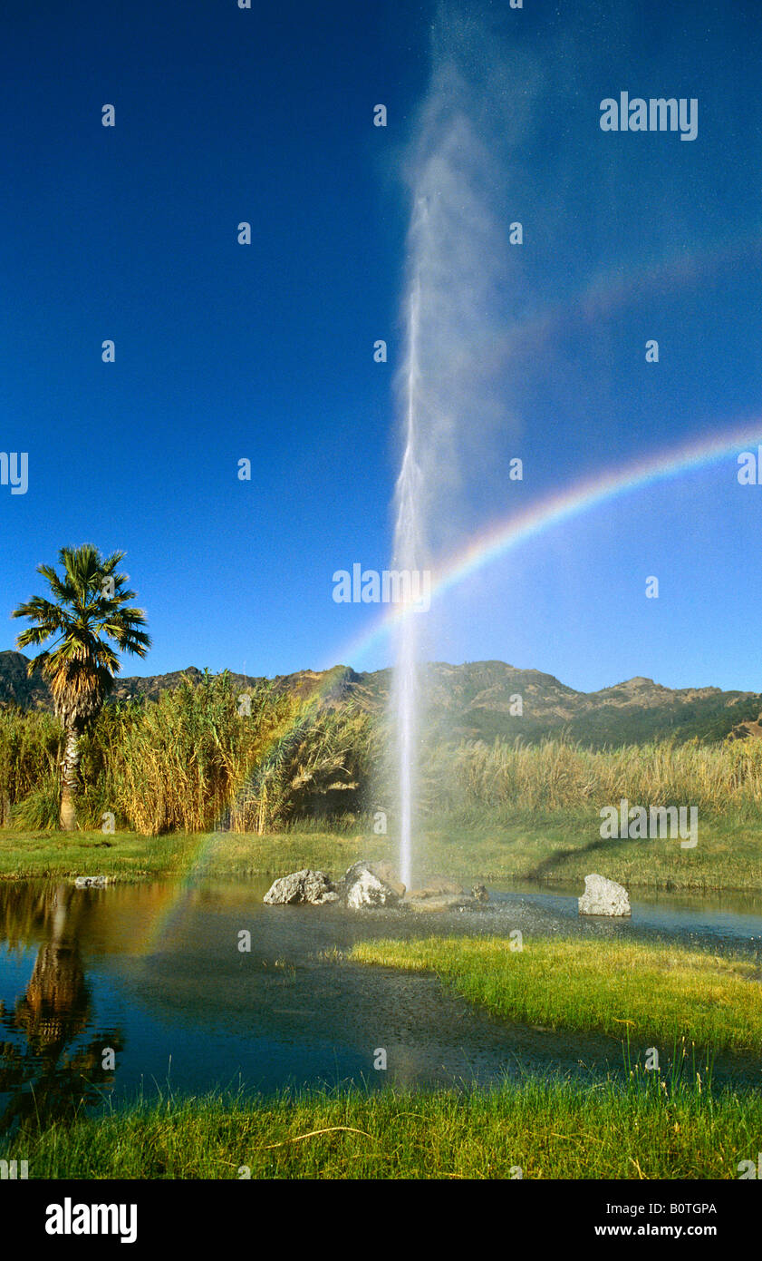 Old Faithful Geyser, Napa Valley, California, North America Stock Photo ...