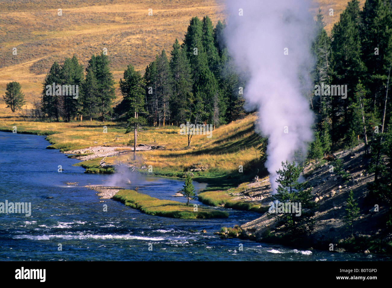 Steam venting from gesyer on bank of Yellowstone River Mud Volcano area ...