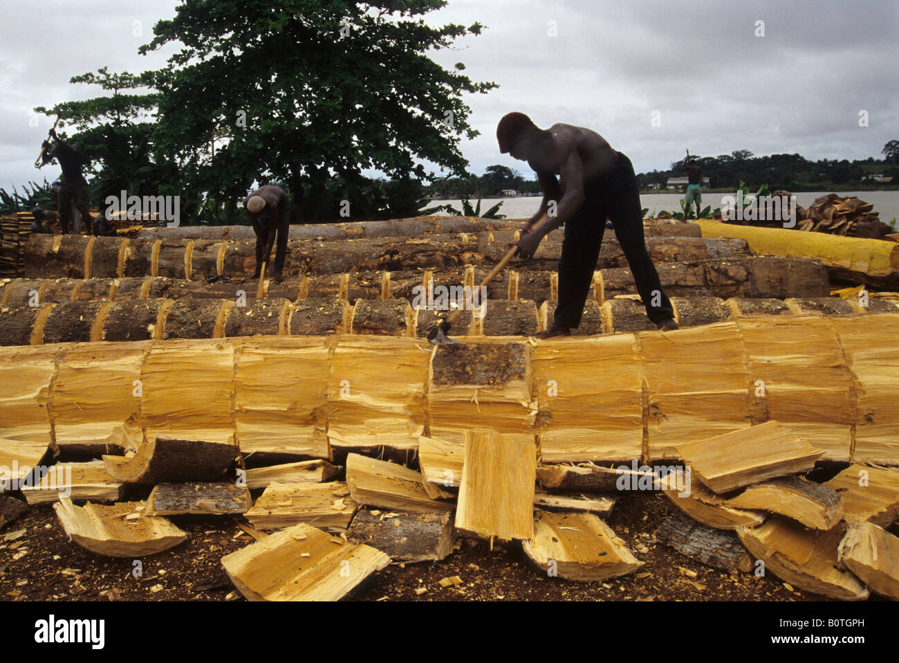Abidjan, Ivory Coast, Cote d' Ivoire, West Africa. Burkinabe Laborers ...