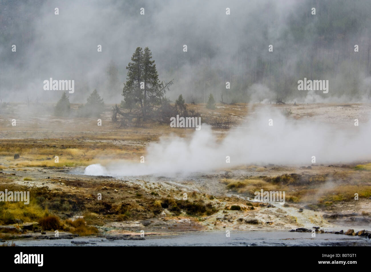 Geothermal steam over Black Sand Basin Yellowstone National Park ...