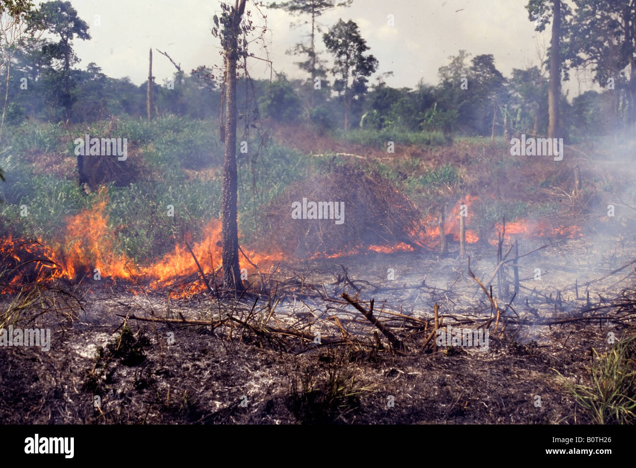 Fire soil hi-res stock photography and images - Alamy