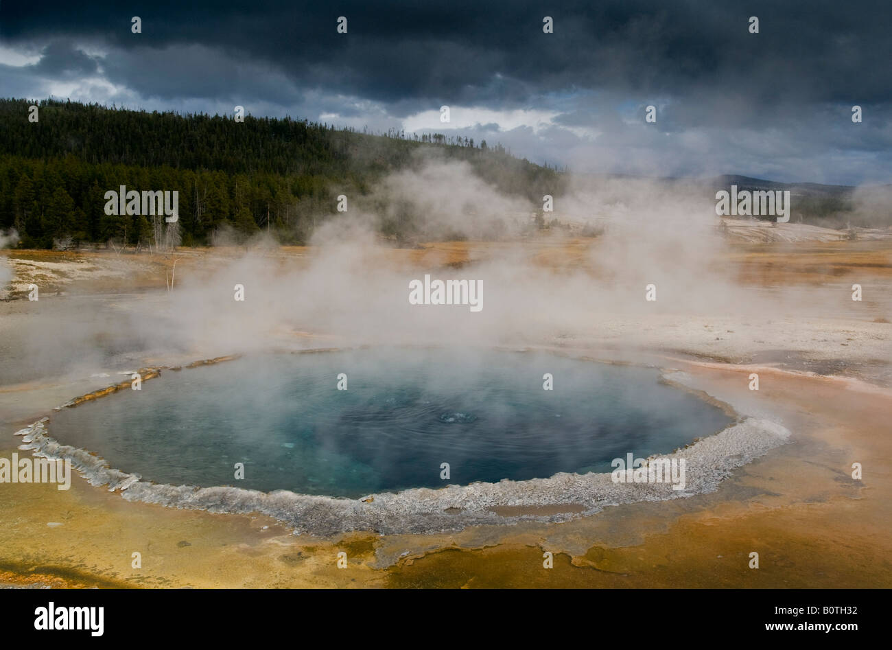 Geothermal steam and water venting out of Crested Pool Upper Geyser ...