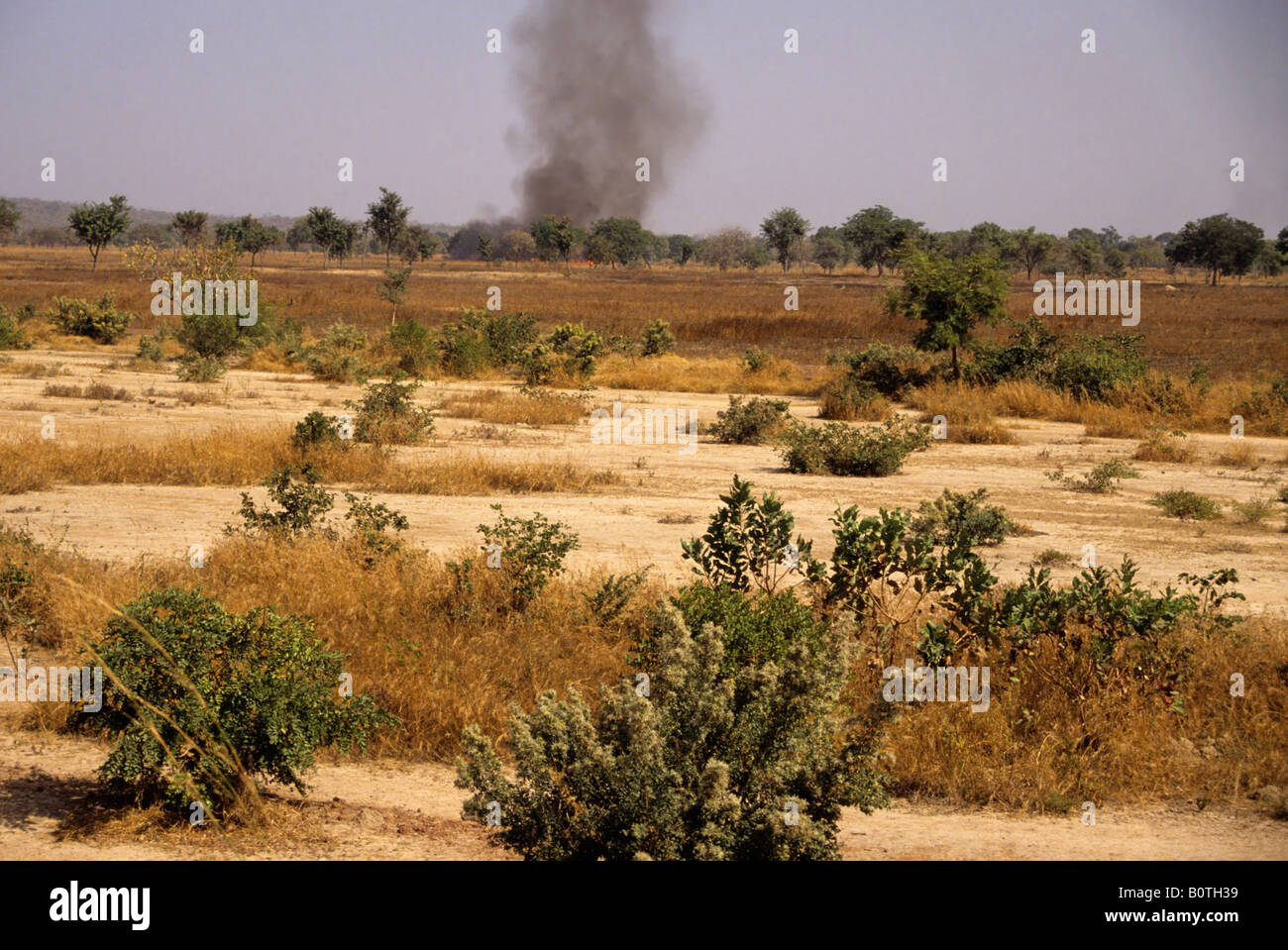 Northern Ivory Coast, Cote d'Ivoire, West Africa. Bush Fire in the ...