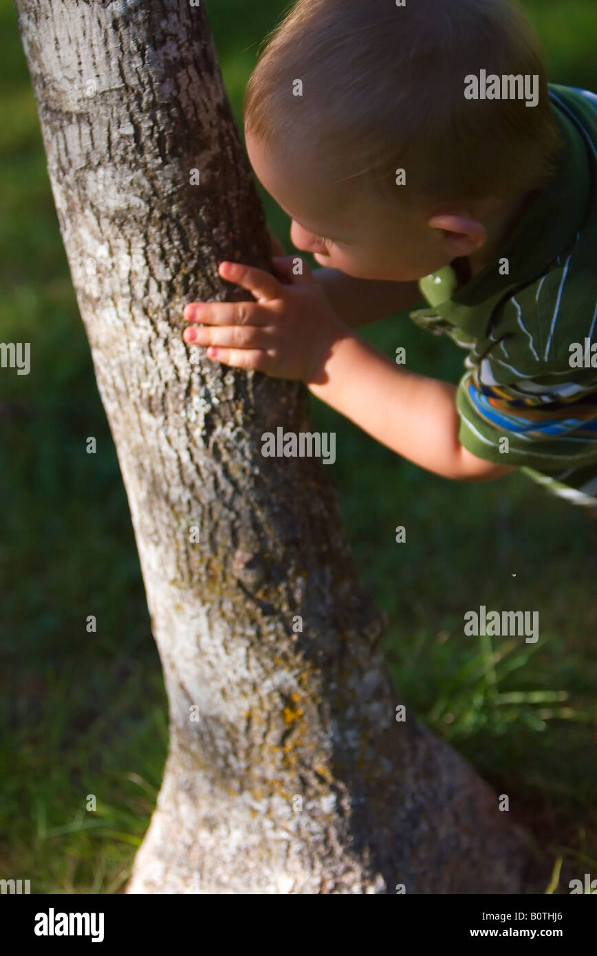 Vancouver Canada Lower Mainland Young Boy Peaking Around a Tree Stock ...