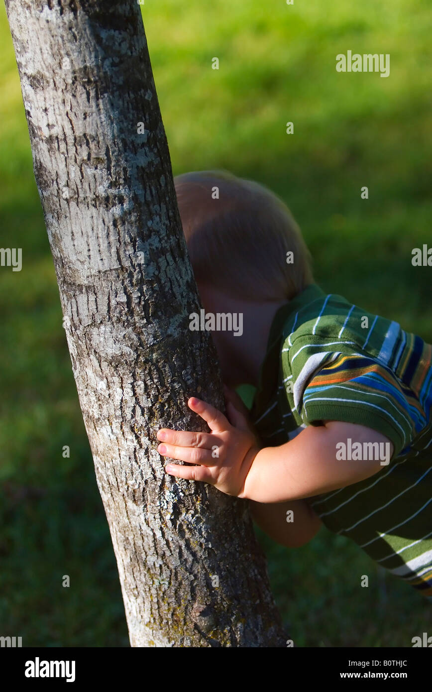Vancouver Canada Lower Mainland Young Boy Peaking Around a Tree Stock ...