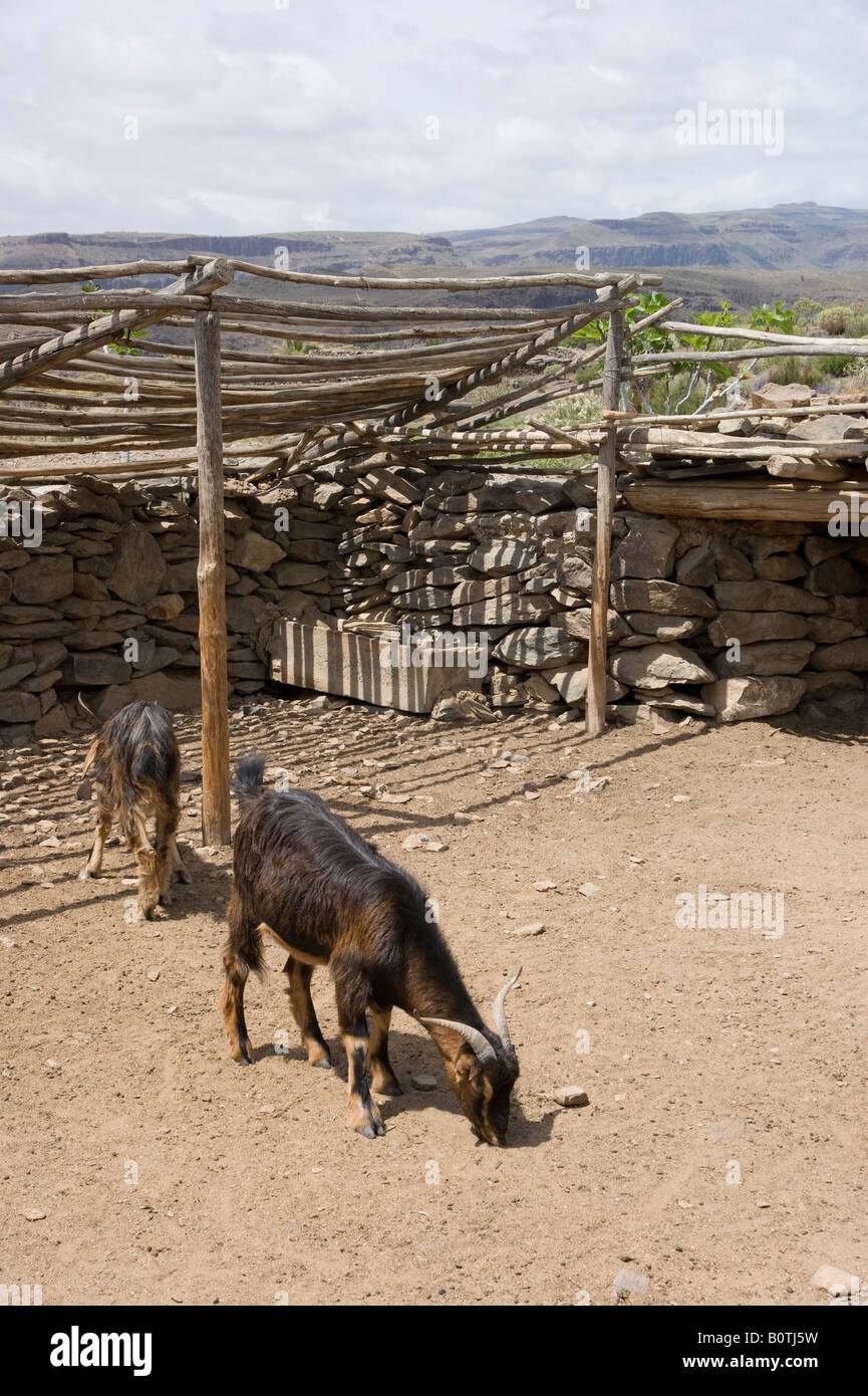 Gran canaria mundo aborigen museum hi-res stock photography and images ...