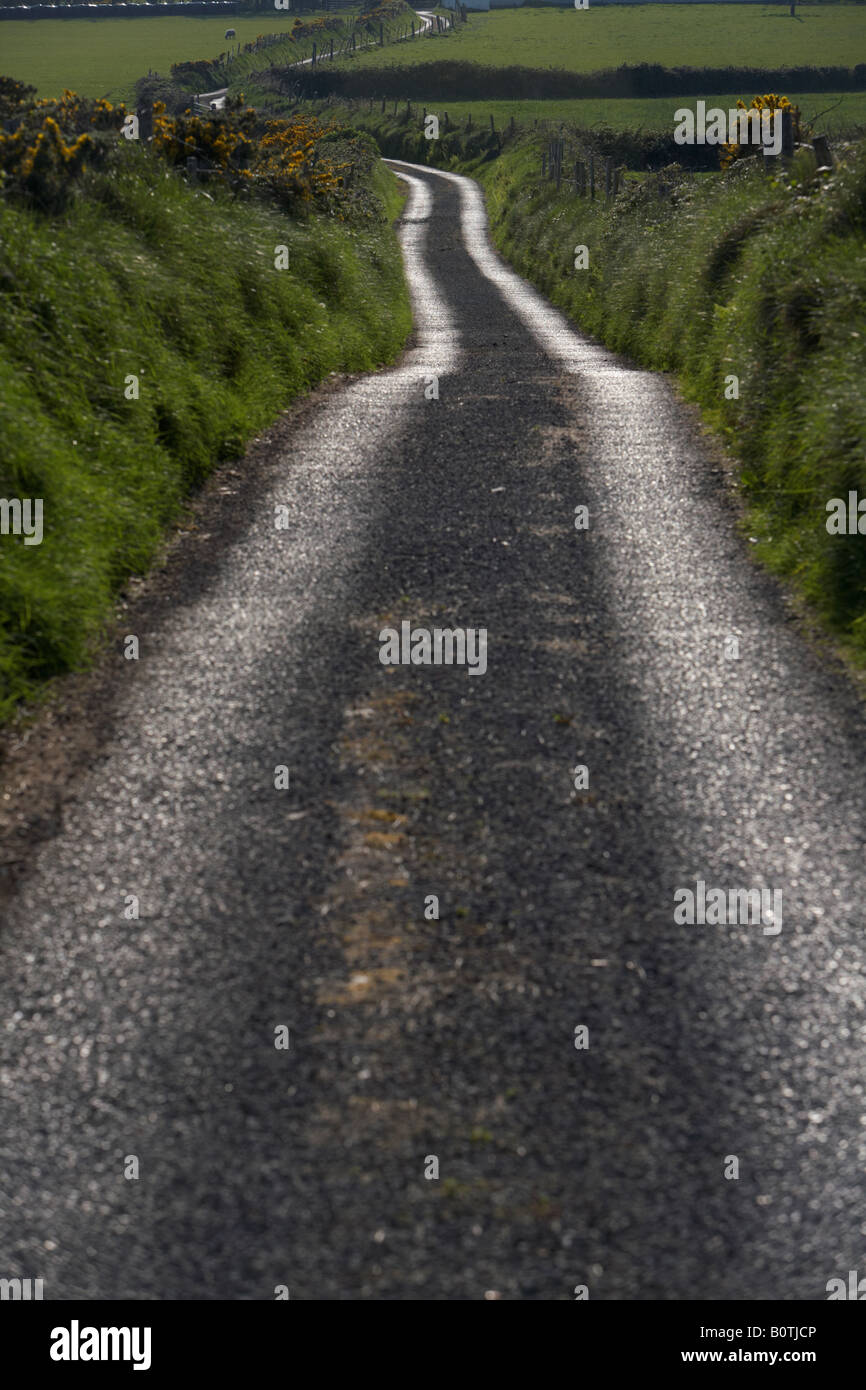 Narrow Country Road Stock Photos & Narrow Country Road Stock Images - Alamy