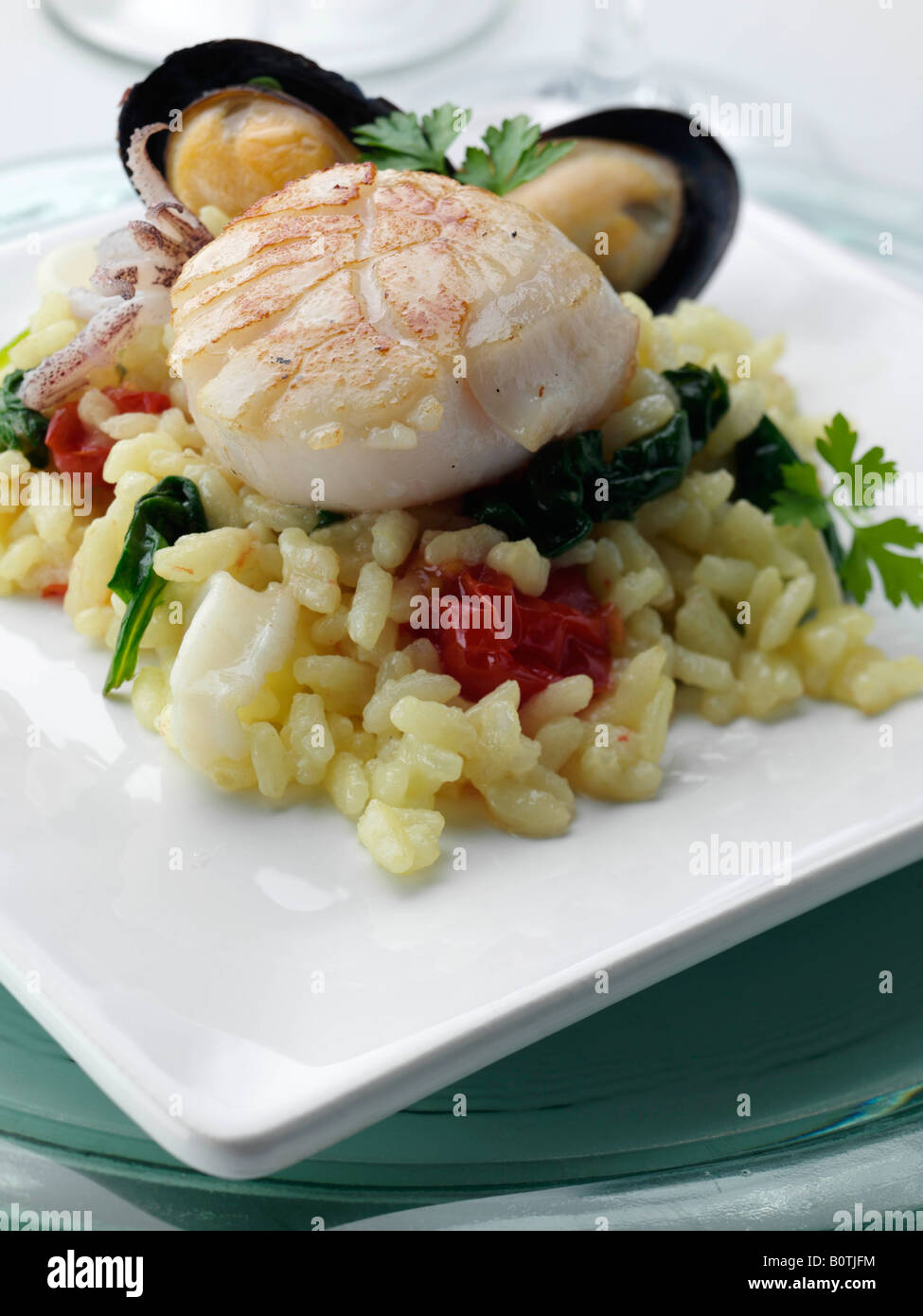 Calamari spinach tomatoes hi-res stock photography and images - Alamy