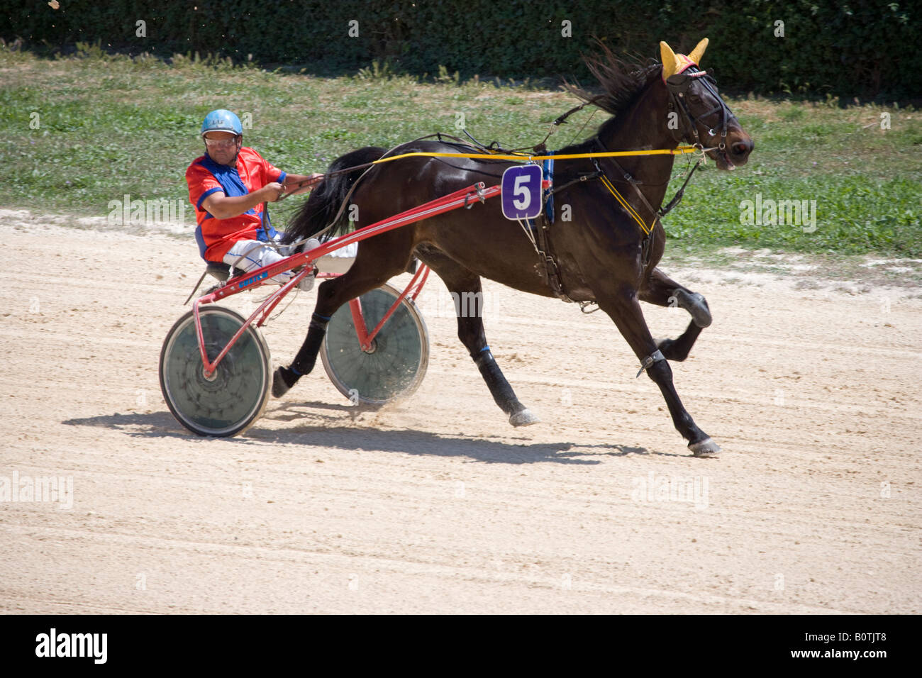 Malta Horse Racing Track Marsa Valletta Malta Stock Photo - Alamy