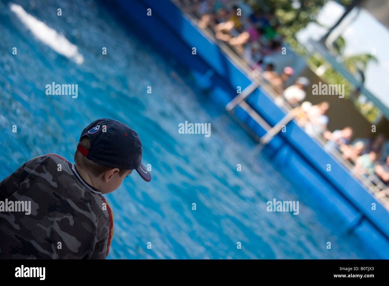 Boy on holiday watching sea life show Stock Photo - Alamy