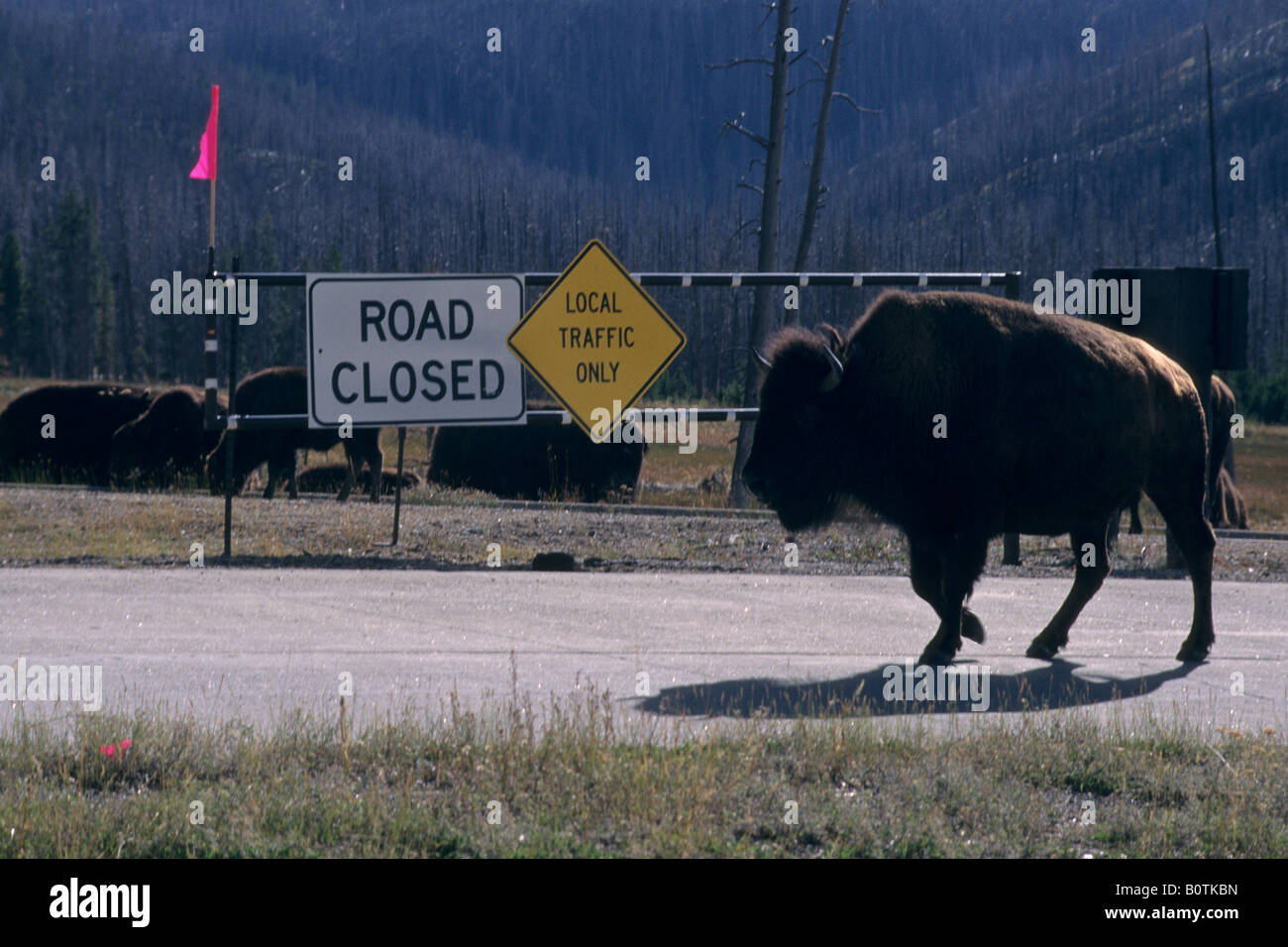 Buffalo warning hi-res stock photography and images - Alamy