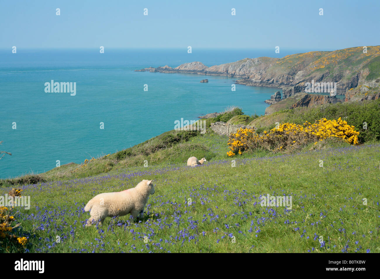 Island of sark hi-res stock photography and images - Alamy