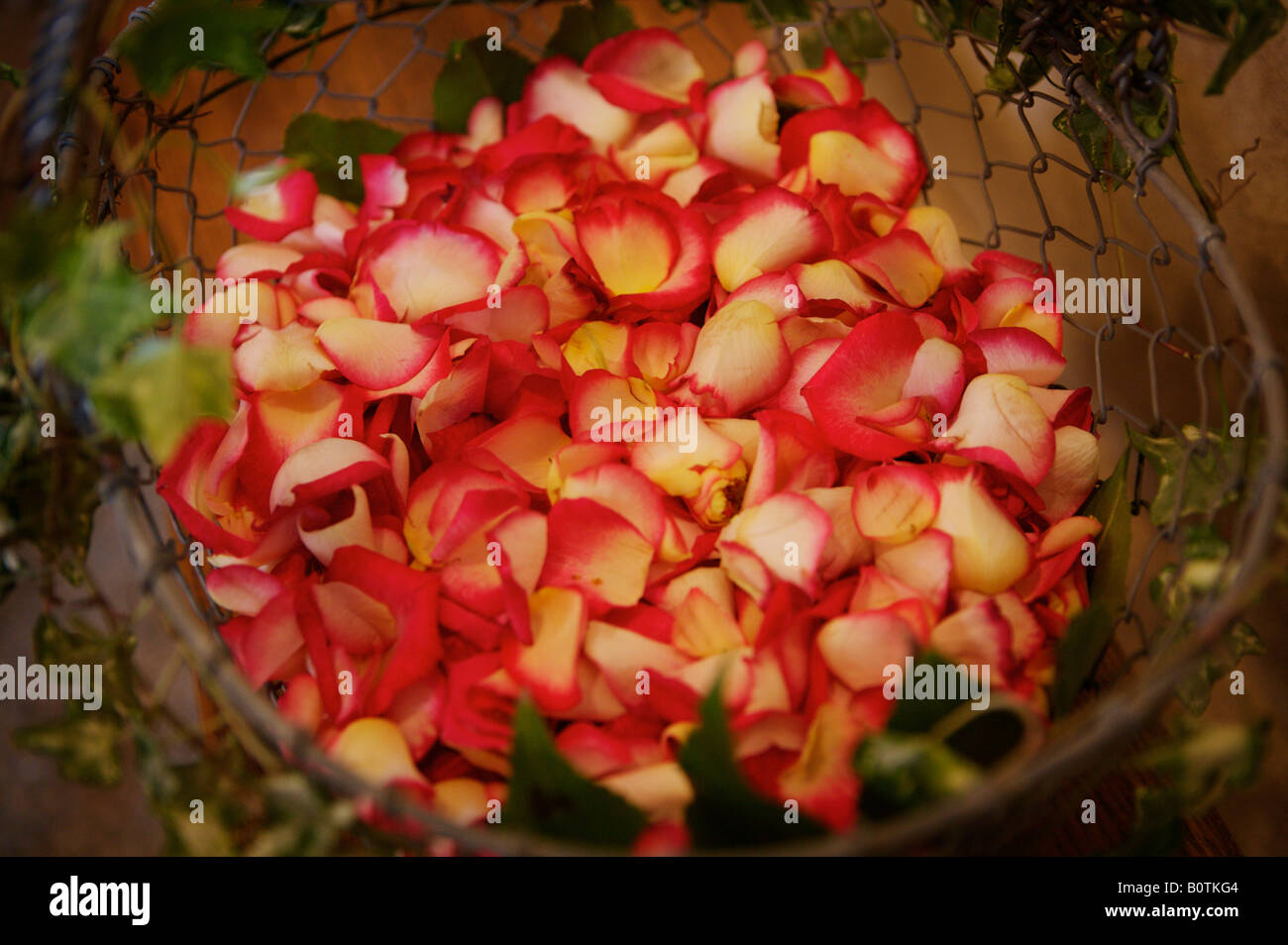 Wedding church confetti hi-res stock photography and images - Alamy