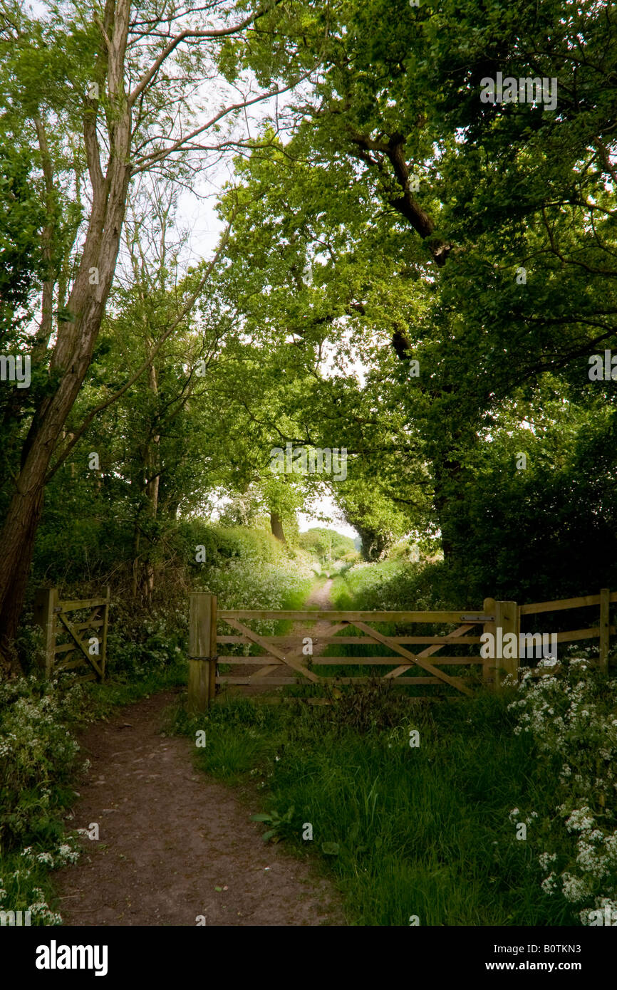 Monarch path hi-res stock photography and images - Alamy