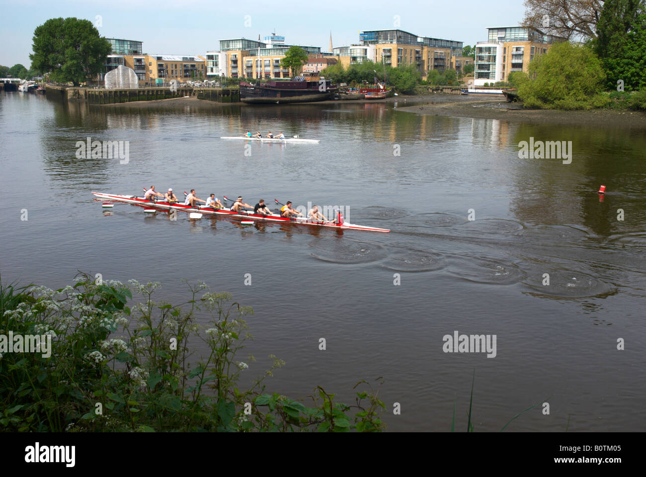 Rowing Boat and Crew on the River Thames Stock Photo - Alamy