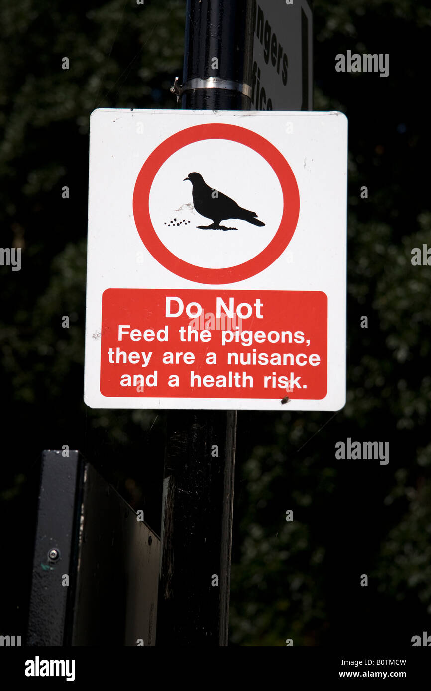 Warning pigeons hi-res stock photography and images - Alamy