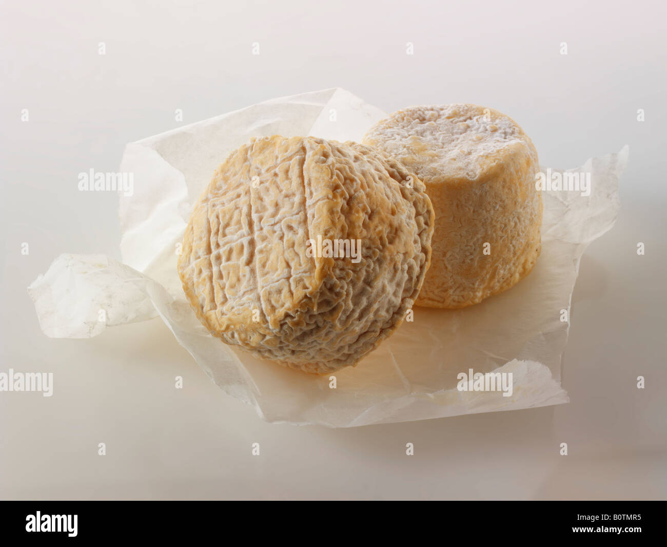 Chevre cheese from Normandy France on a white background Stock Photo ...