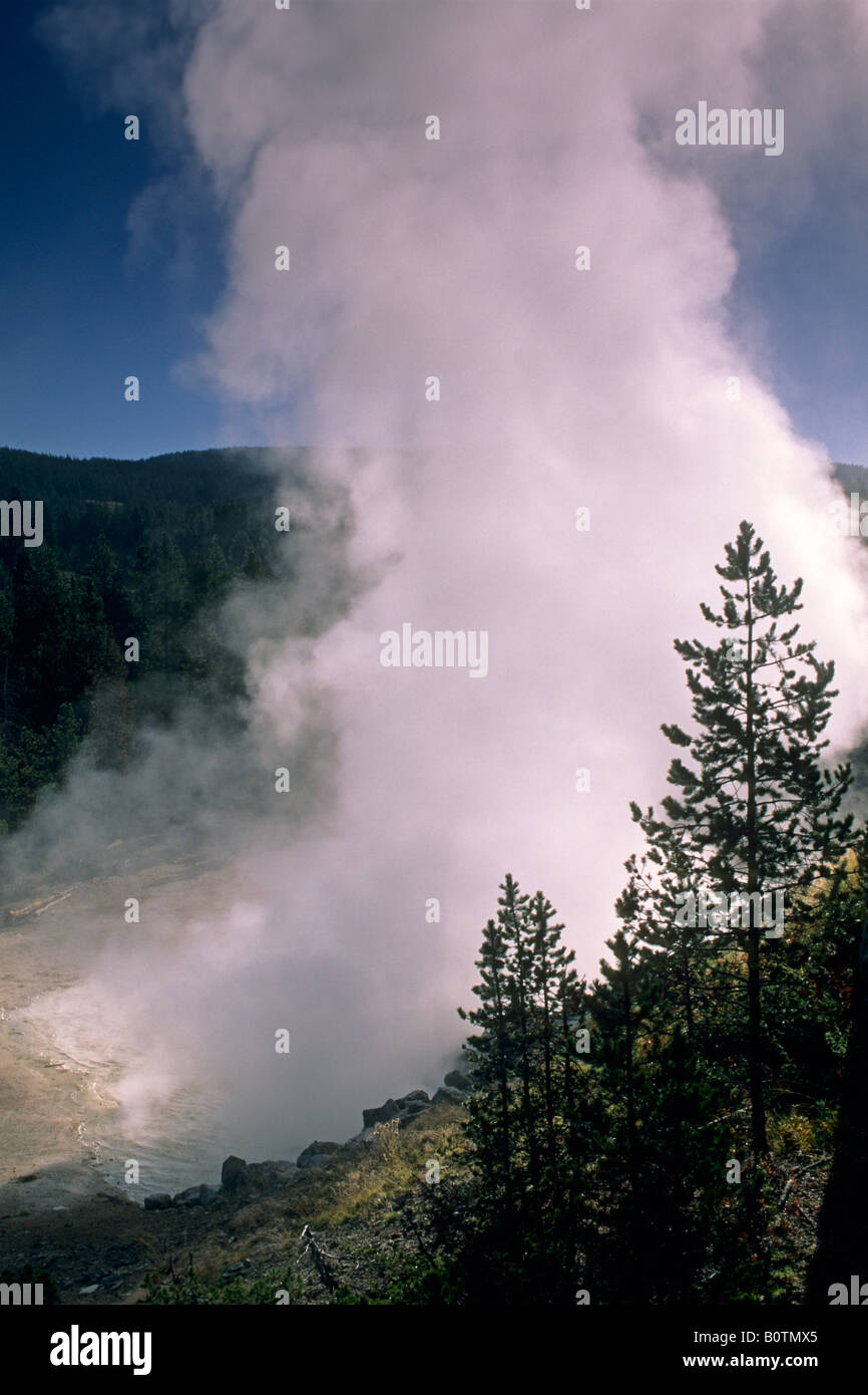 Steam rising from Sulfer Caldron Mud Volcano area Yellowstone National ...