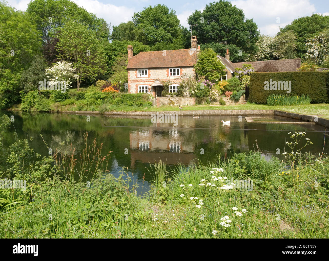 Surrey countryside cottage hi-res stock photography and images - Alamy
