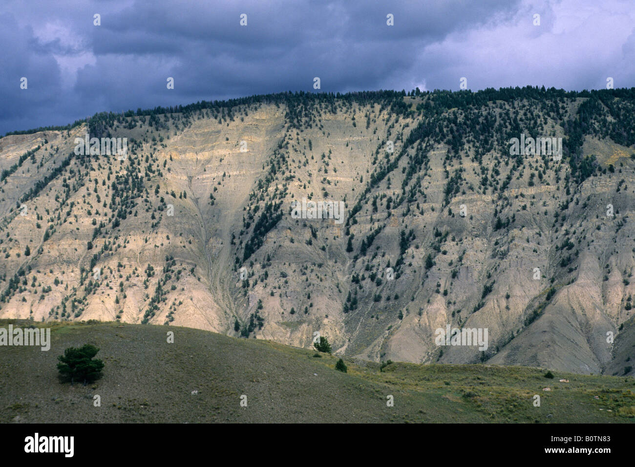 Canyon wall showing sediment layers Mammoth Hot Springs Region ...
