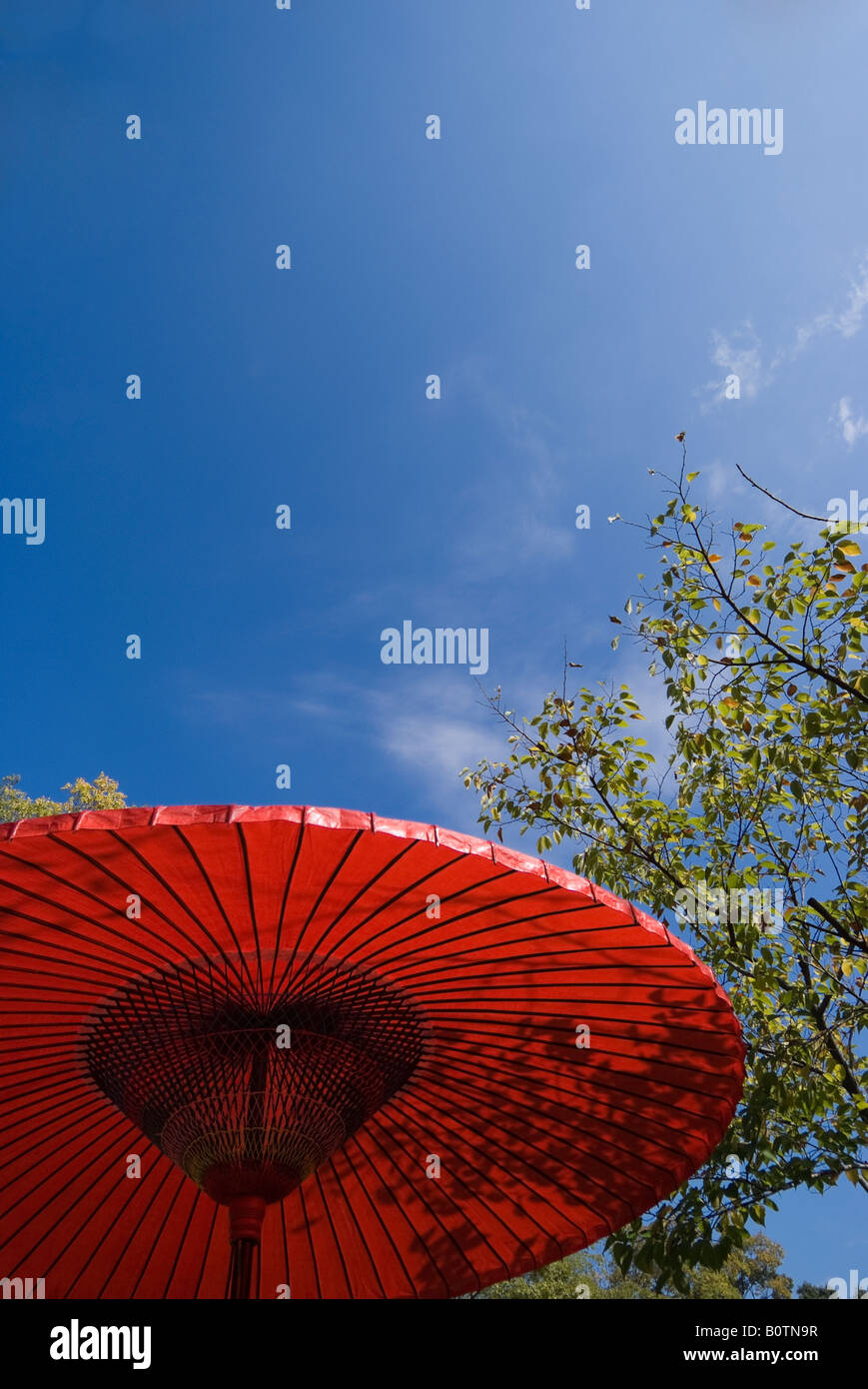 Red Parasol at Shinsenen Temple, Kyoto, Japan Stock Photo - Alamy