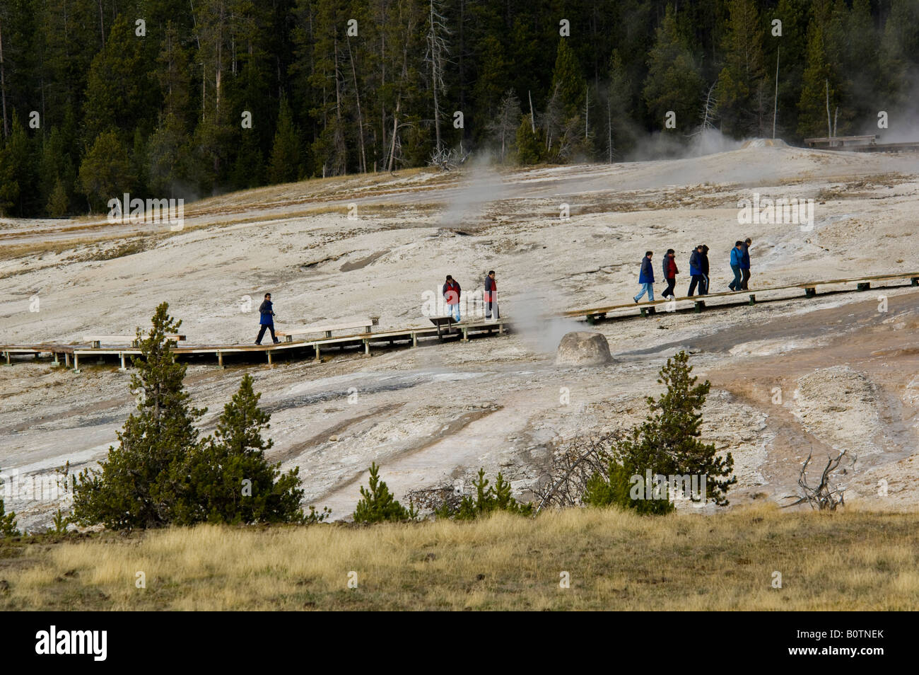 Tourists on boardwalk path over fragile ground at Upper Geyser Basin ...