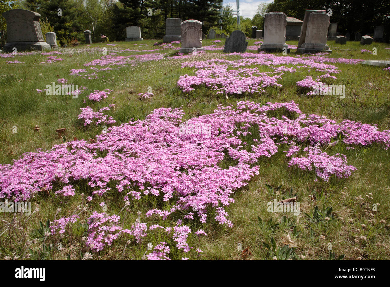 New England graveyard during the spring months Stock Photo - Alamy