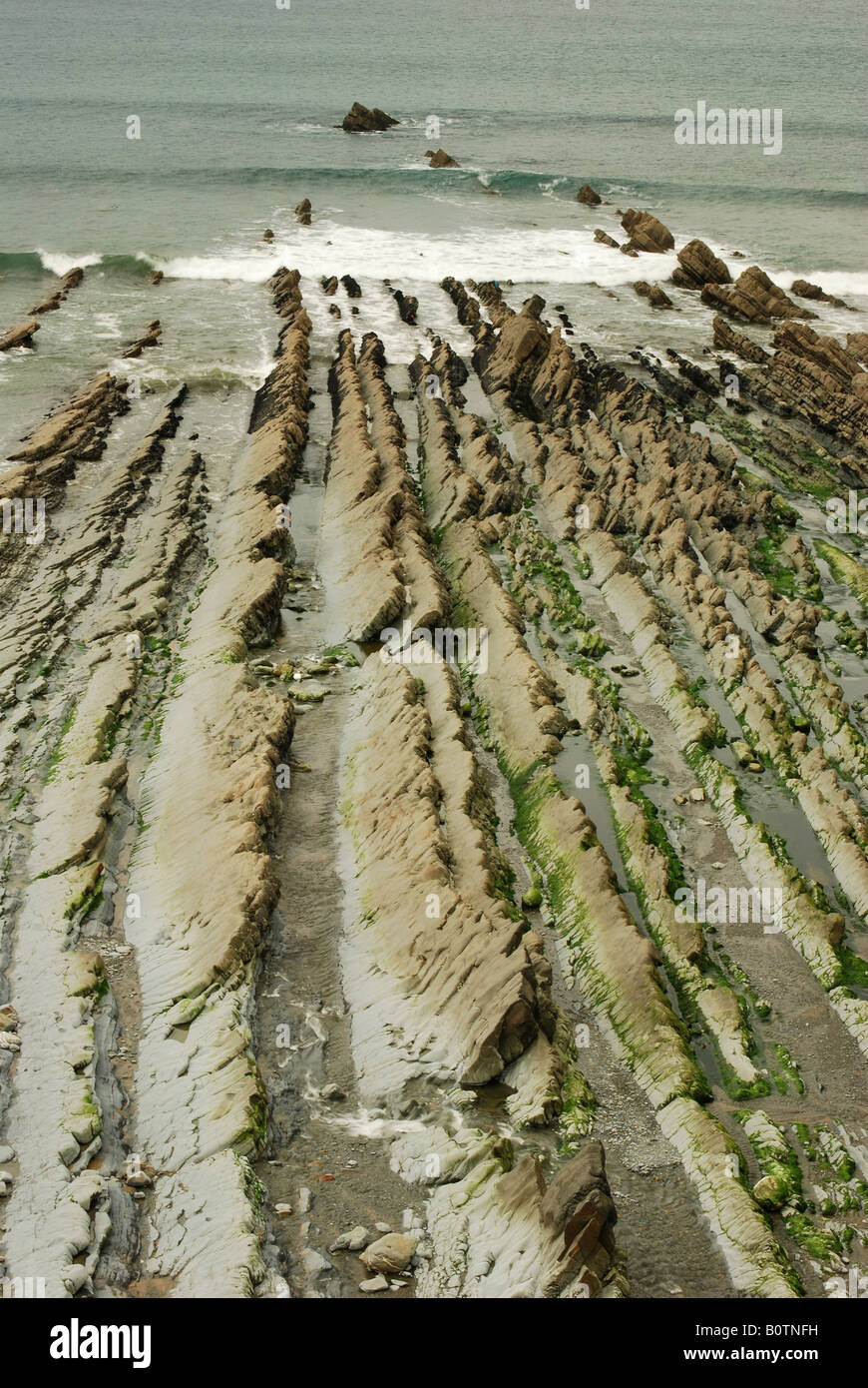 Welcombe bay hi-res stock photography and images - Alamy