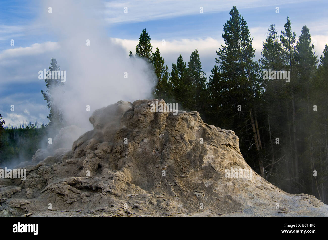 Geothermal steam rising from Castle Geyser vent Upper Geyser Basin ...