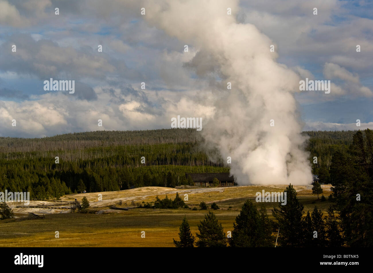 Huge column of geothermal steam from eruption of Old Faithful Geyser ...