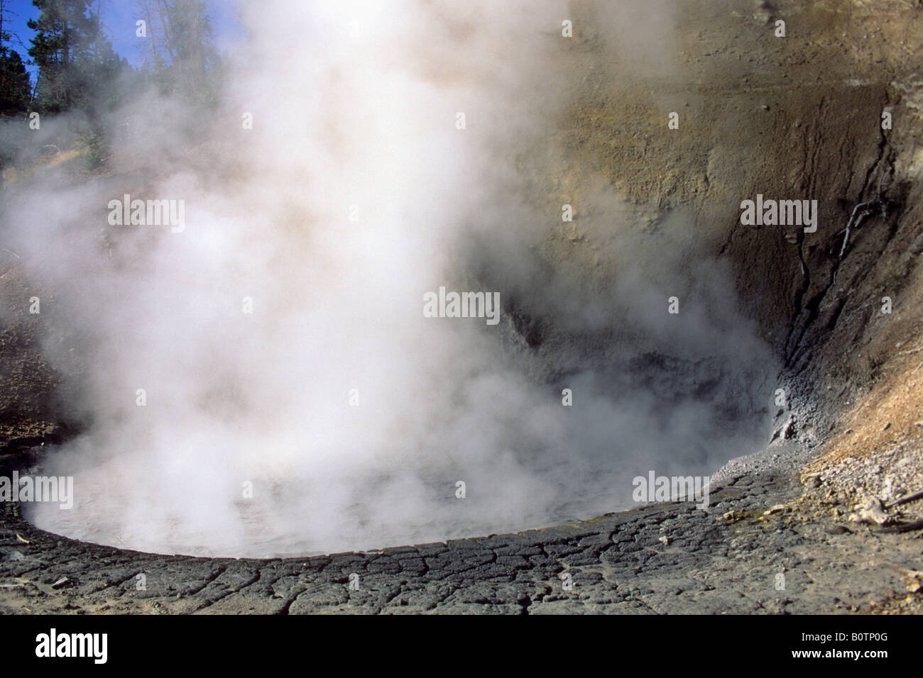 Steam rising from the geothermal vent at Mud Volcano Yellowstone ...