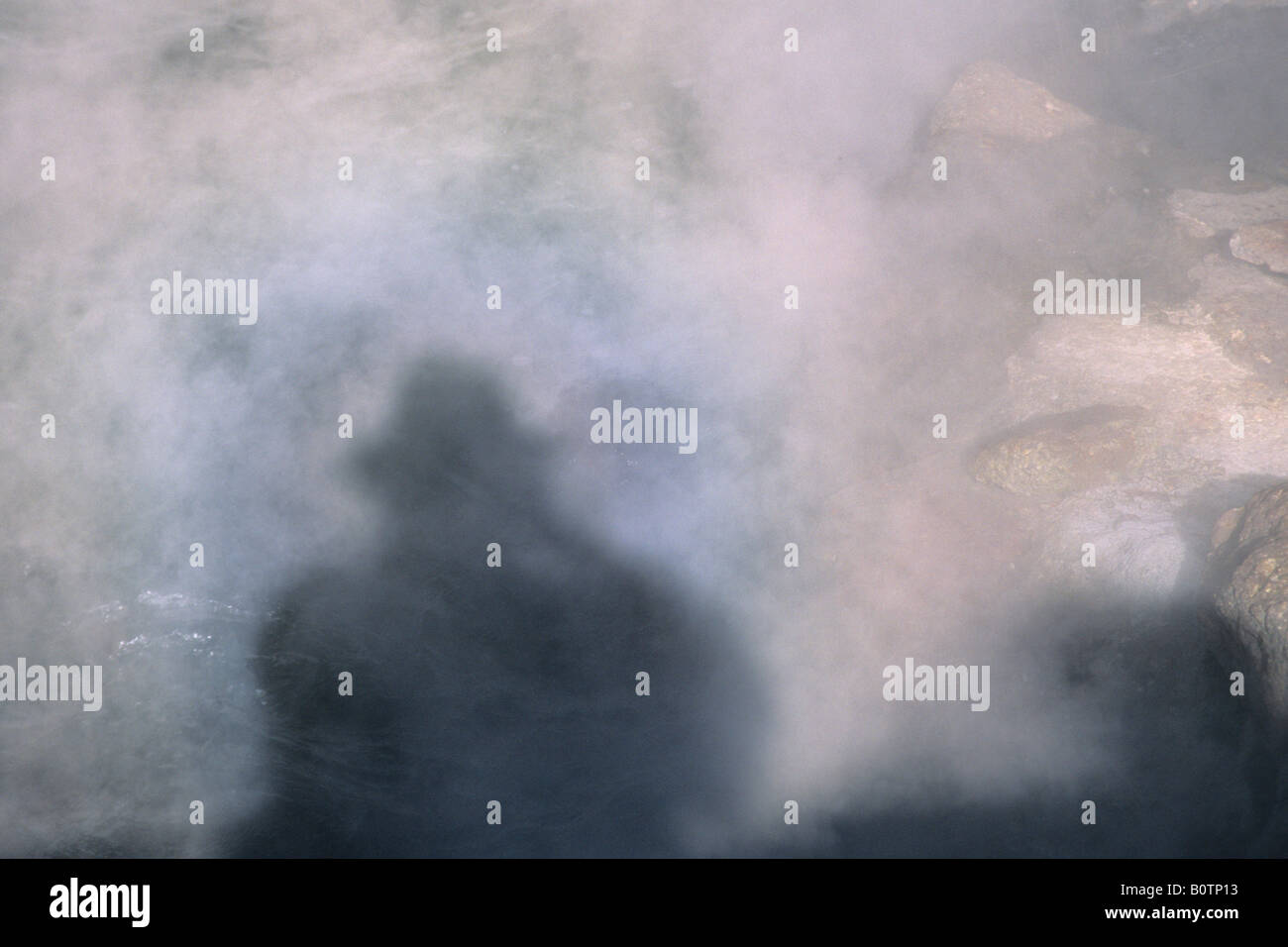 Steam rising from the geothermal vent at Mud Volcano Yellowstone ...