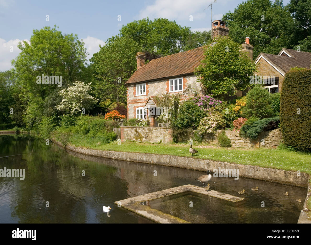 Cottage Shottermill Haslemere Surrey UK Stock Photo - Alamy