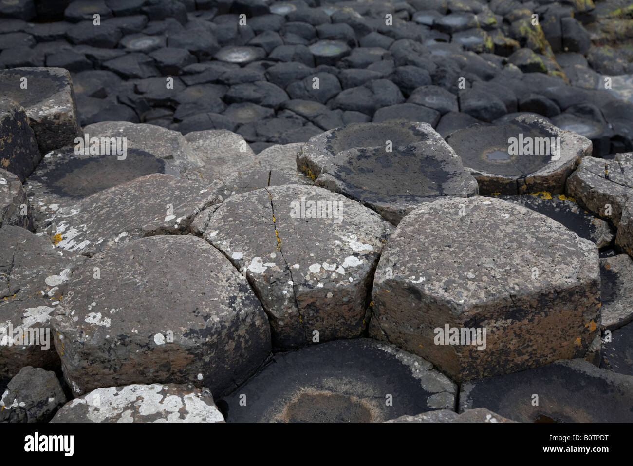 different coloured red basalt hexagonal rock formations at the giants ...