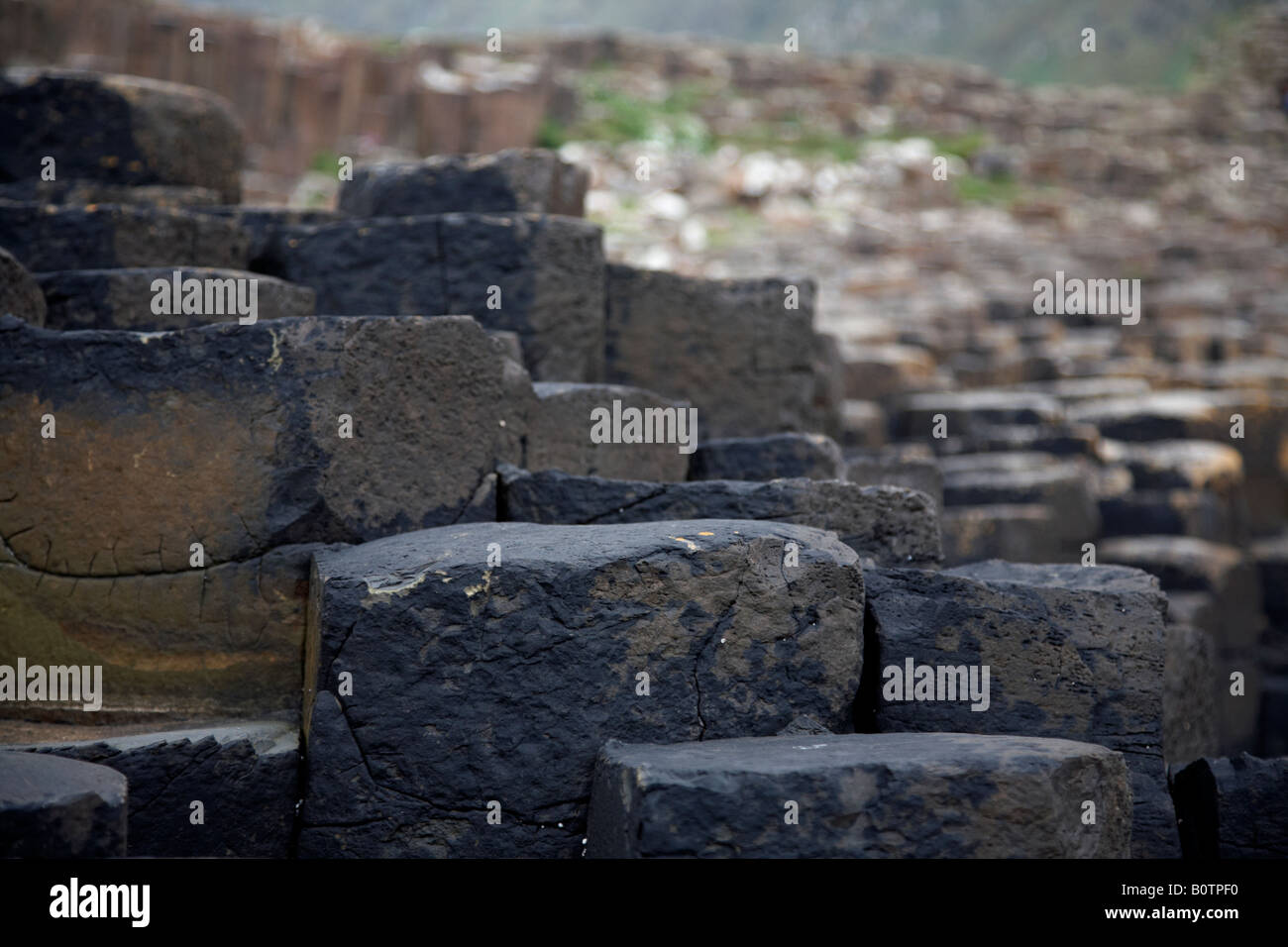red basalt hexagonal rock formations at the giants causeway county ...