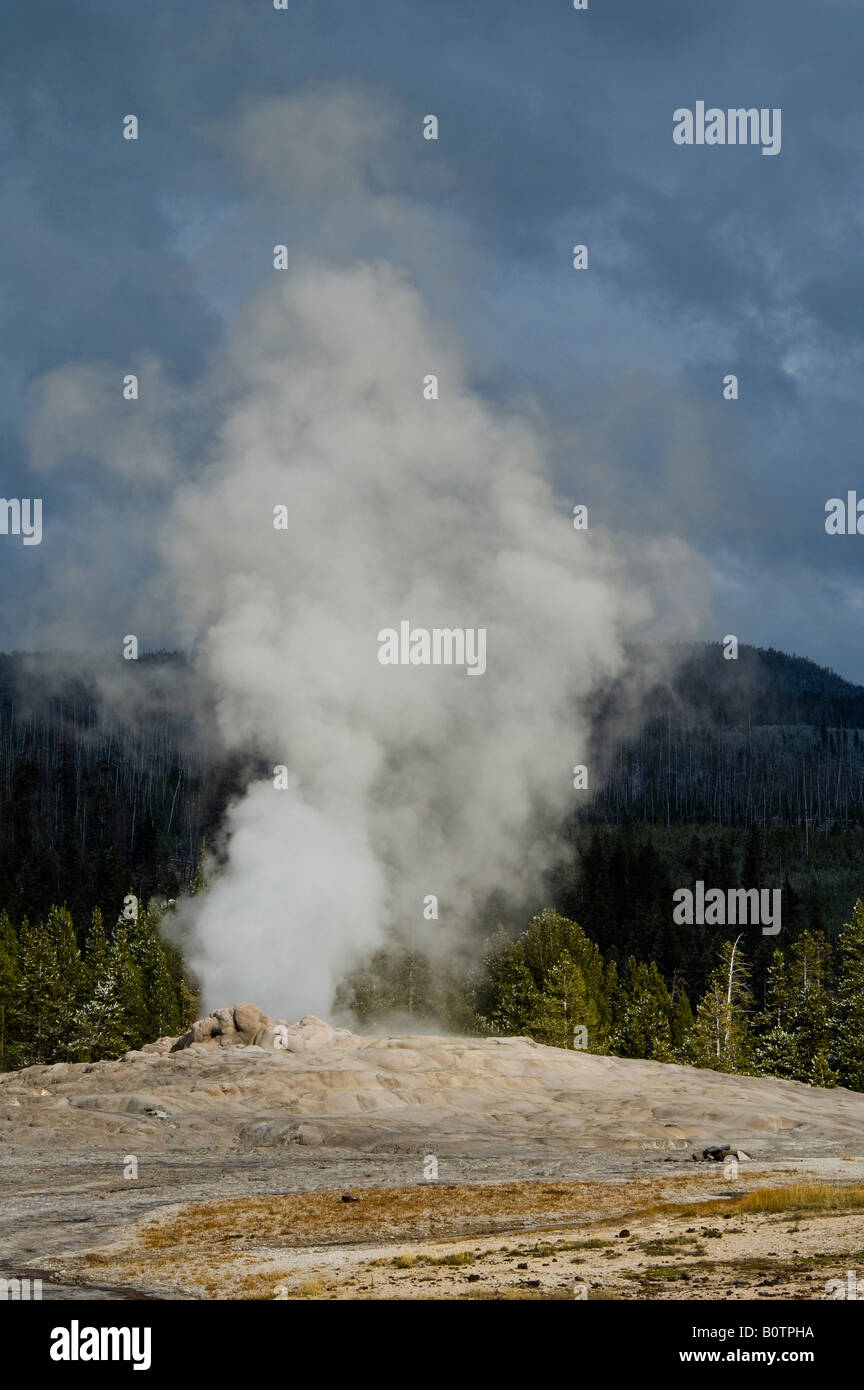 Geothermal steam venting out of Old Faithful Geyser Upper Geyser Basin ...
