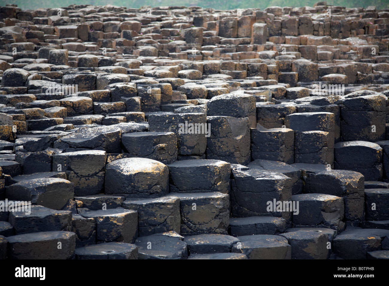 red basalt hexagonal rock formations at the giants causeway county ...