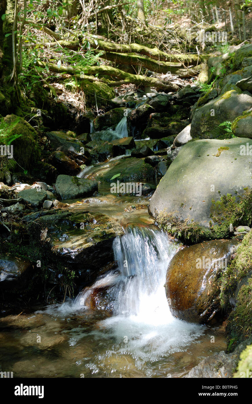 WATER TUMBLING OVER ROCKS IN THE RIVER YSTWYTH PONTRHYDYGROES ...