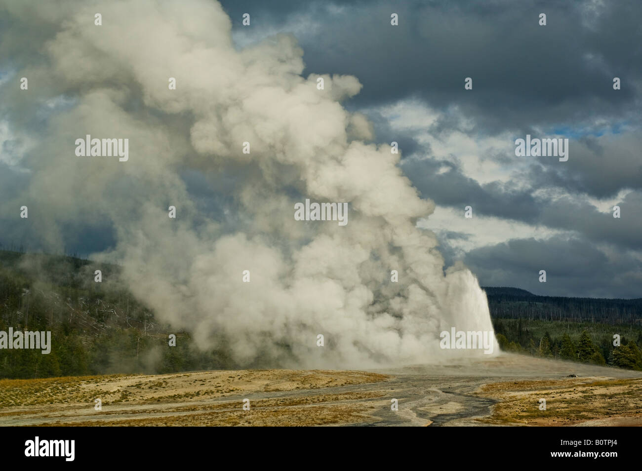 Eruption of geothermal steam and water venting out of Old Faithful ...