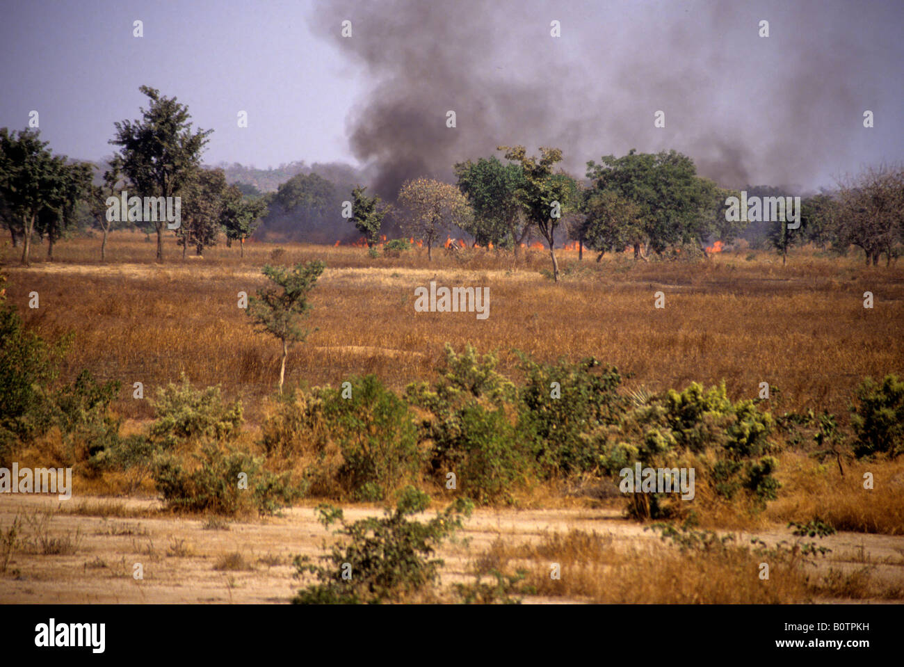 Northern Ivory Coast, Cote d'Ivoire, West Africa. Bush Fire in the ...