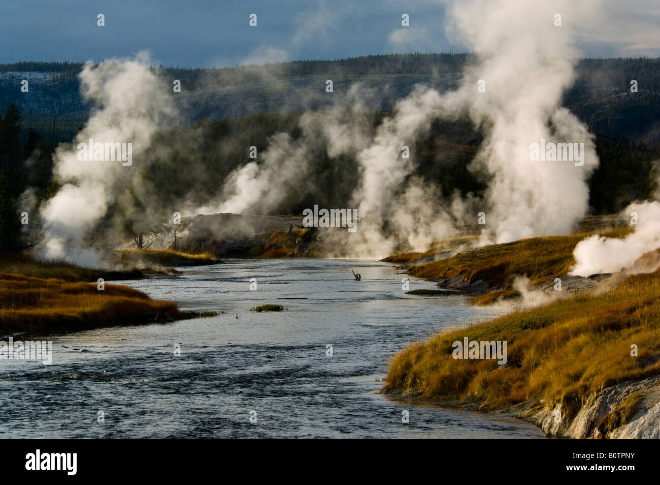 Geothermal vents and steam along the Firehole River Upper Geyser Basin ...