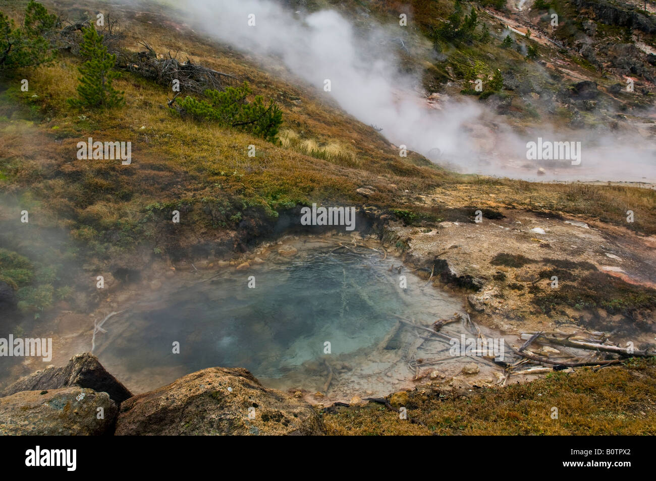 Steam rising from geothermal vents and hot springs at Artists Paintpots ...