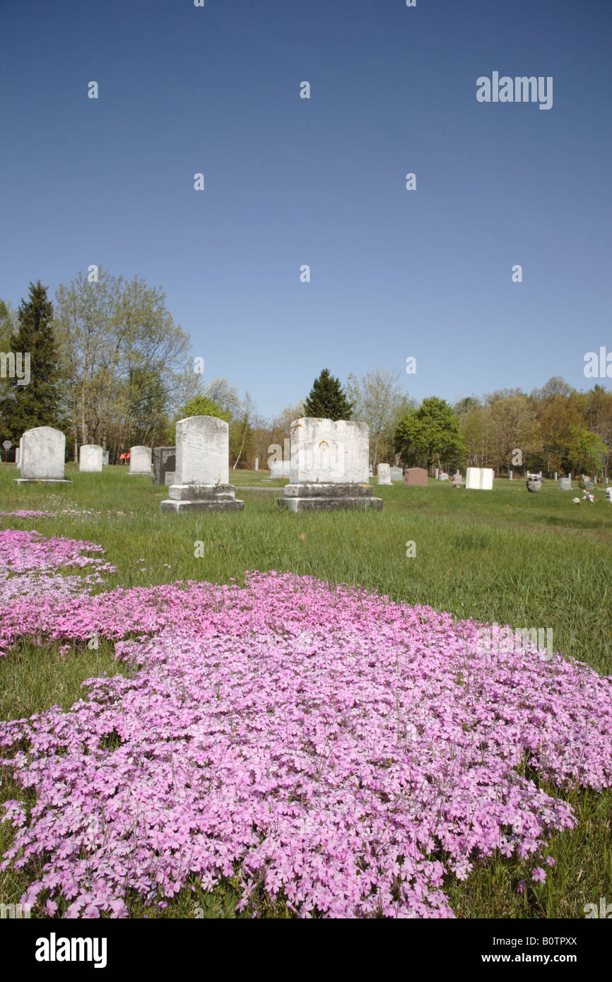 New England graveyard during the spring months Stock Photo - Alamy